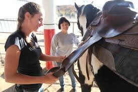 Stepp Stables- Camp Pendleton