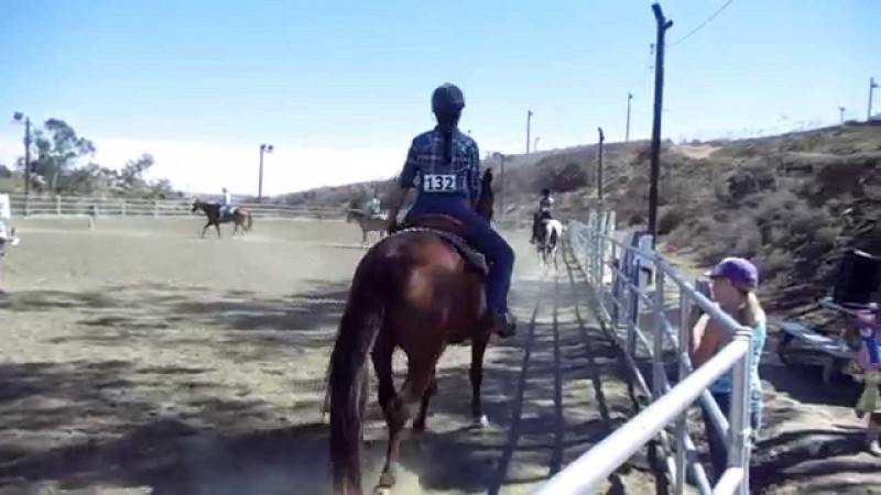 Stepp Stables- Camp Pendleton