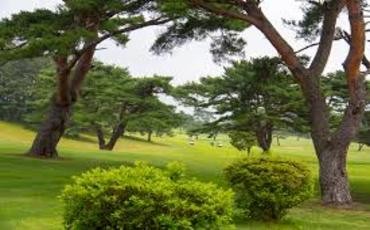 Misawa - Force Support Squadron Gosser Memorial Golf Course